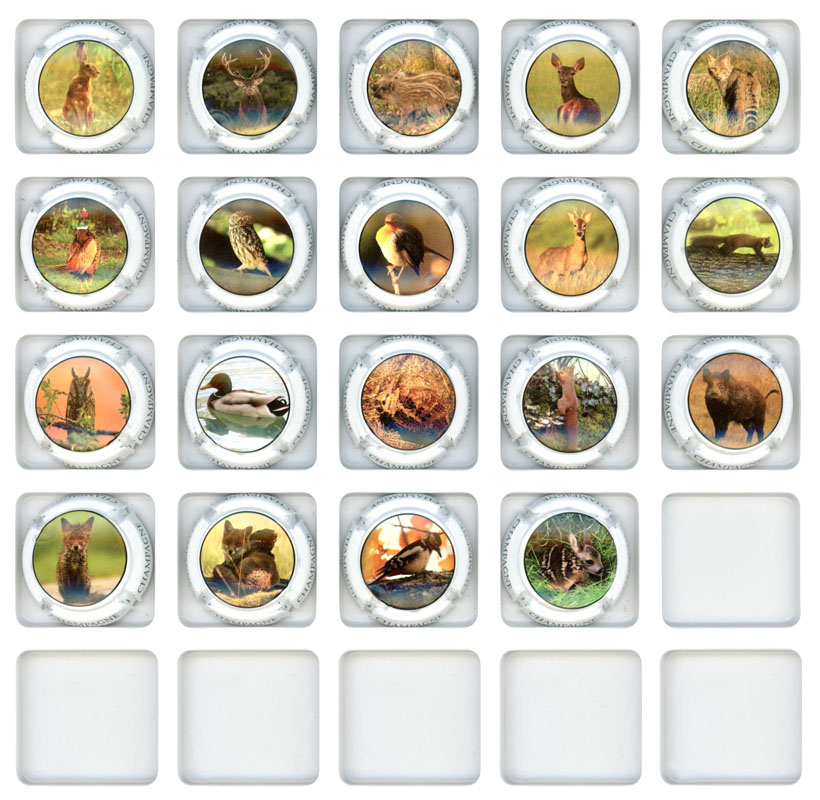 Capsulorama - Capsule génériques